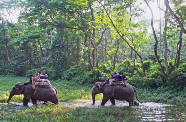 Chitwan National Park | Nepal Trekking