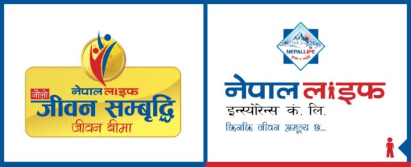 Life Insurance Companies in Nepal | Invest, Insure, and Retire